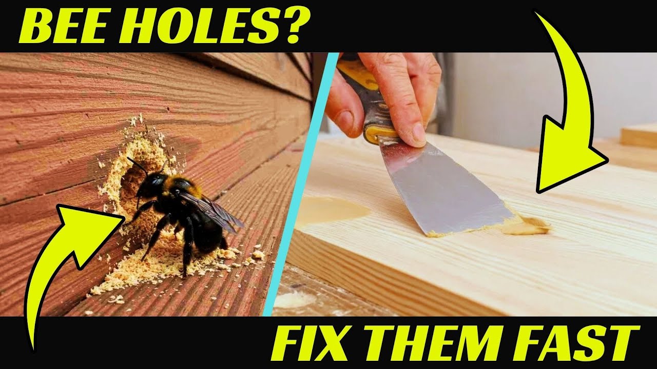 Carpenter Bee Holes In Wood Identification Repair Prevention