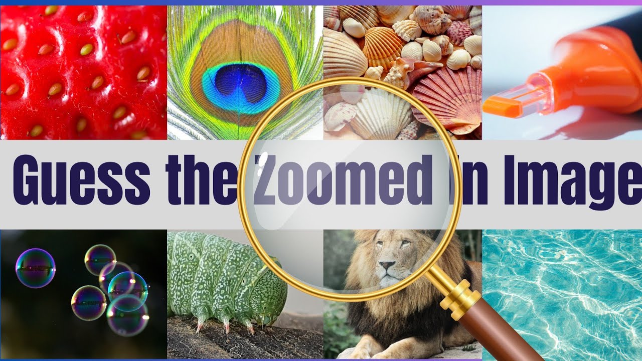 Guess The Zoomed In Images Can You Guess The Zoomed In Pictures