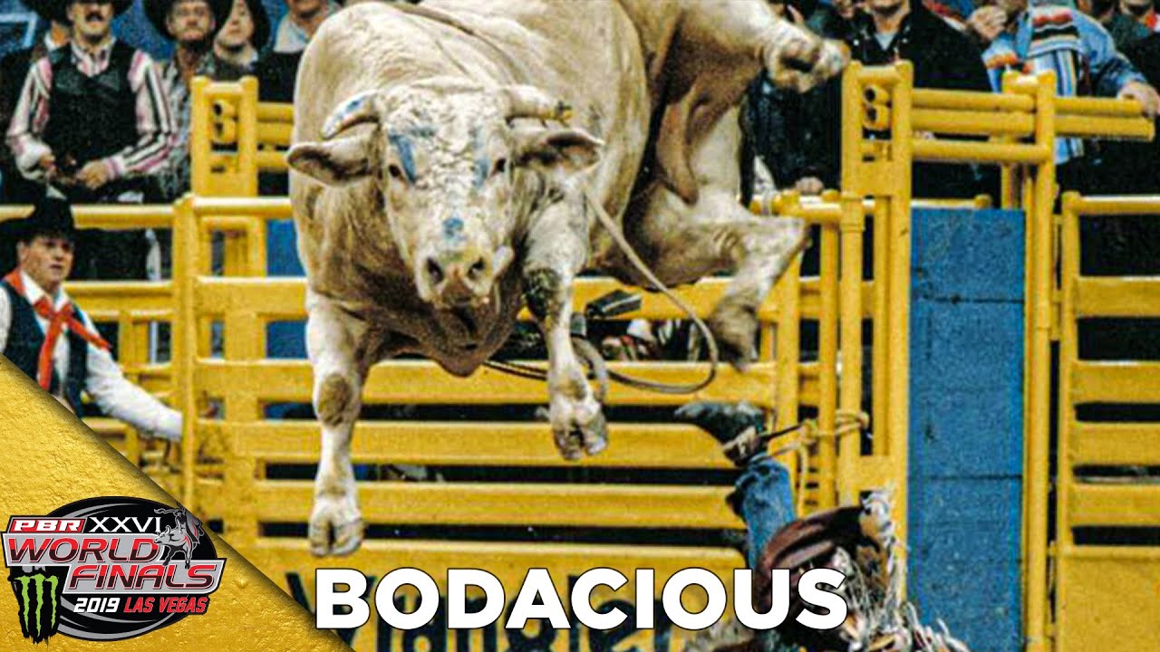 Bodacious Bucking Bull