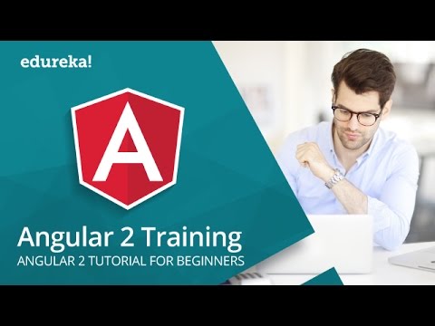 Angular 2 Training Angular 2 Tutorial For Beginners Angular