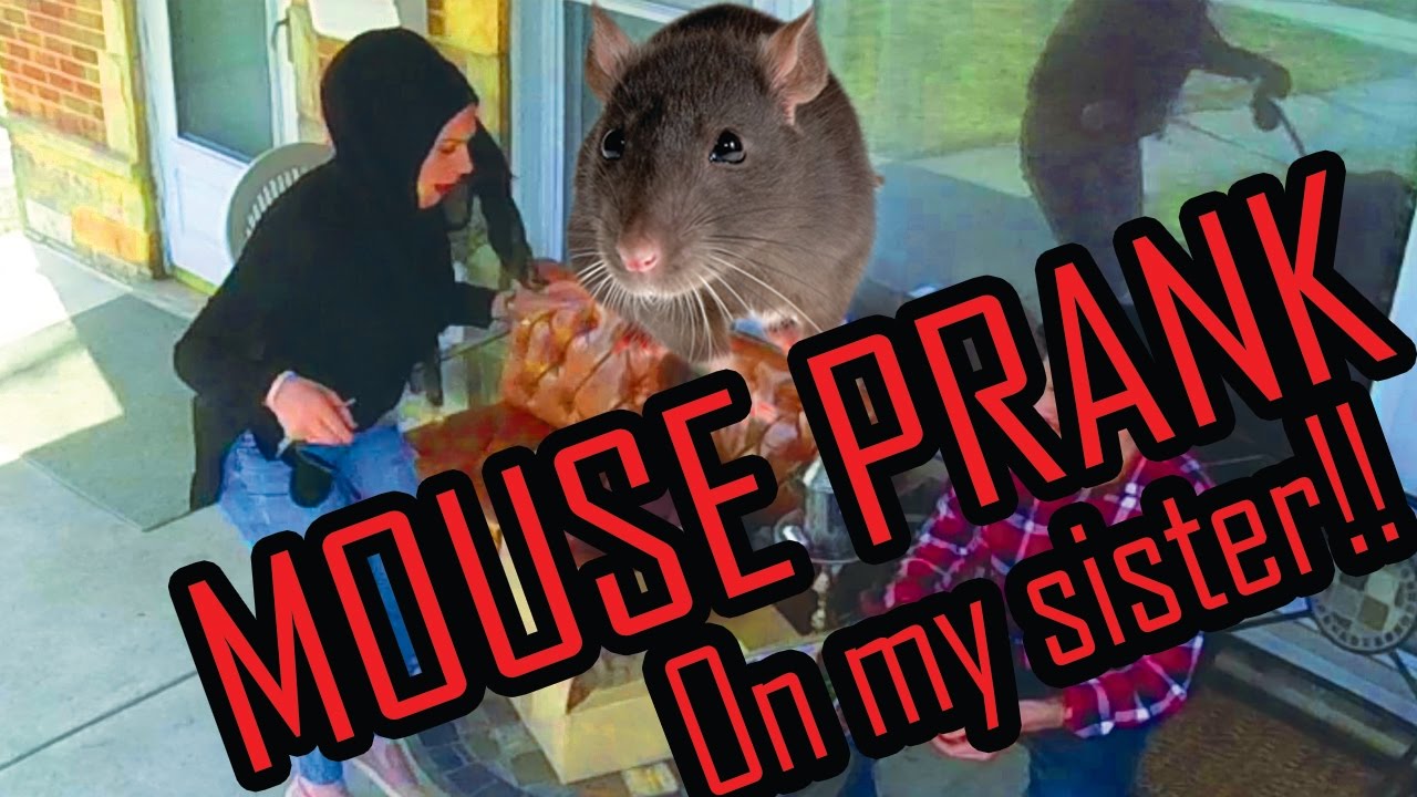 Mouse Prank On My Sister Youtube