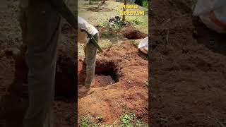 Cara Menanam Durian Agar Berbuah Lebat Rumah Agrotani Mp3 Music & Mp4 ...