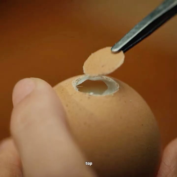 Prisoner Escapes From Prison Via An Egg Shorts Drama Youtube
