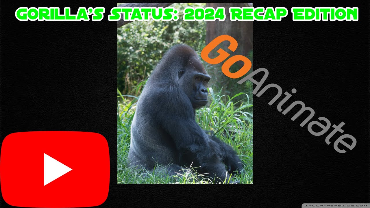 Gorilla S Status 2024 Recap Edition Youtube