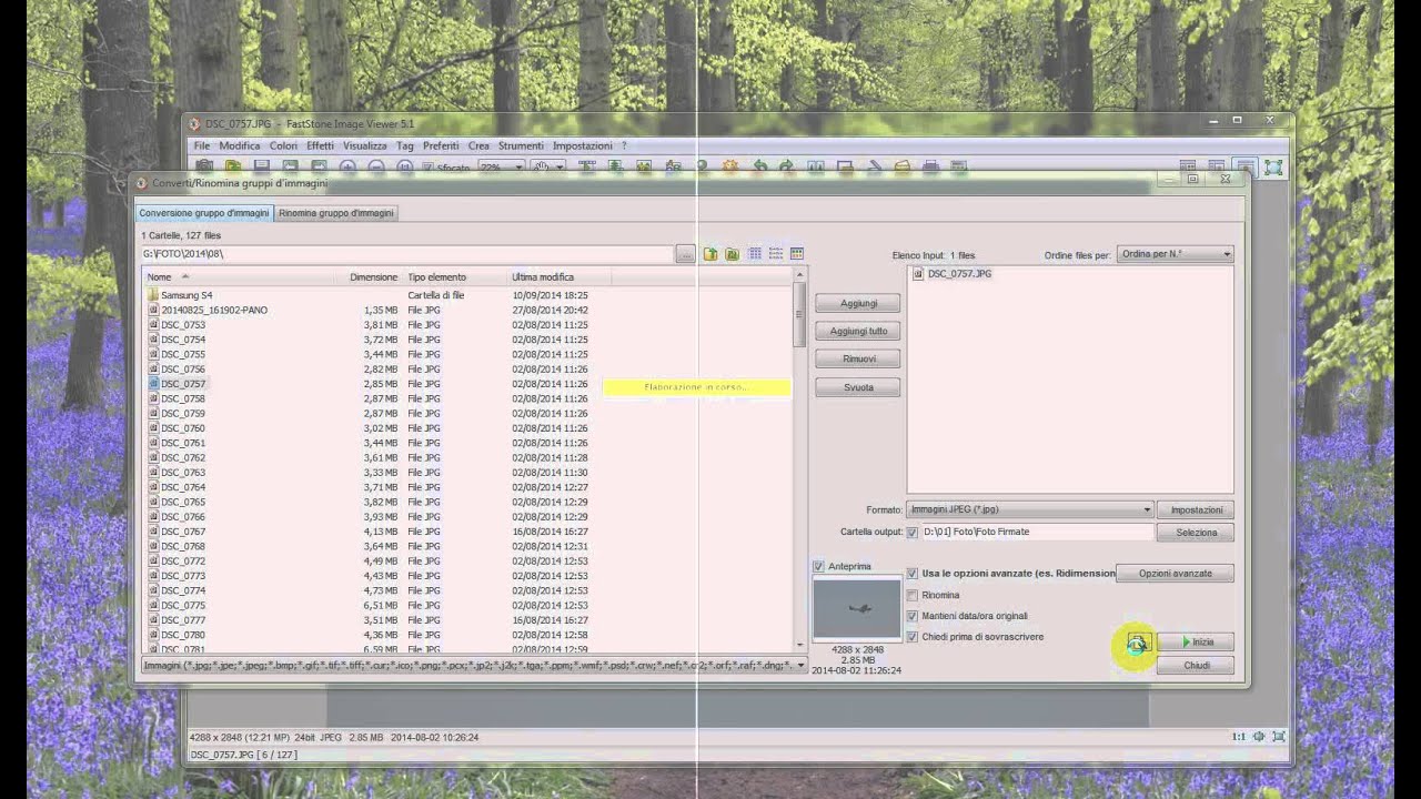 Faststone Image Viewer Youtube