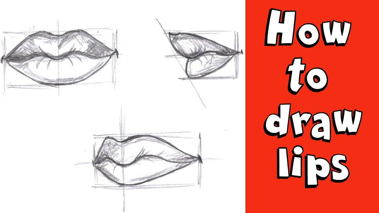 How To Draw Mouth Side View Infoupdate Org