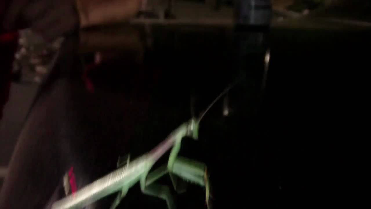 Praying Mantis Attacks Kid Day 3 Youtube