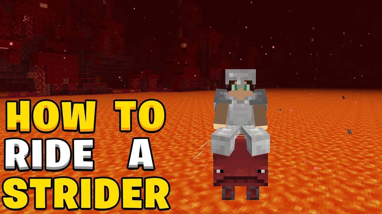 How To Ride A Strider In Minecraft 1 21 Youtube