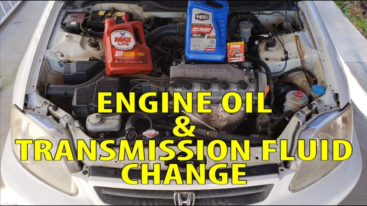 Engine Oil And Transmission Fluid Maintenance Vital Tips