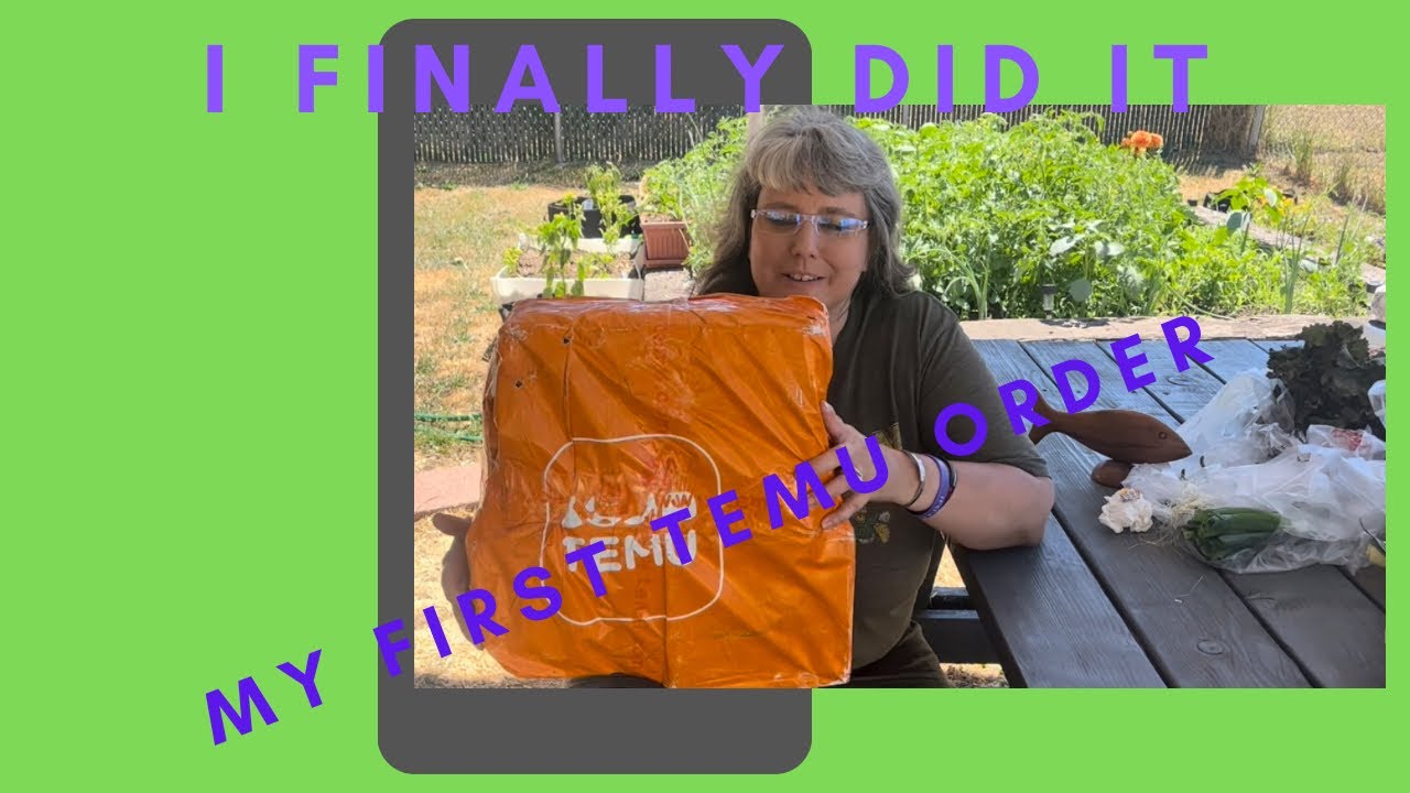 My First Temu Order Youtube