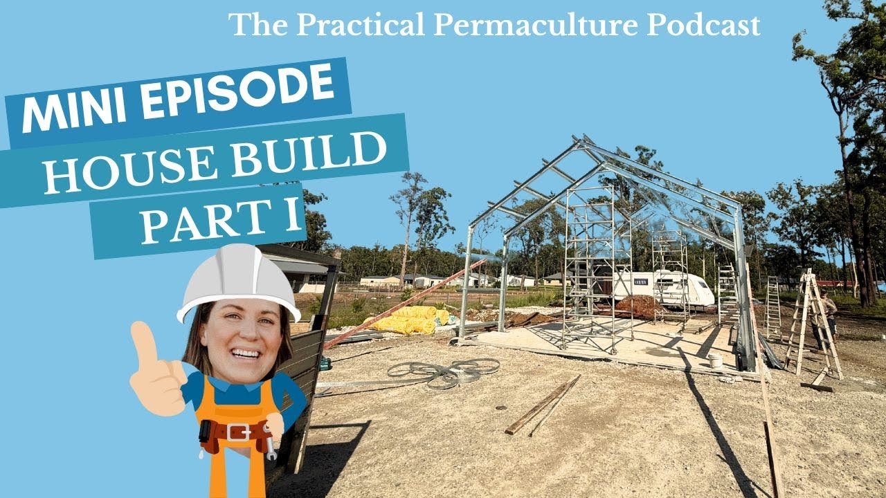 House Build Part Ii Mini Episode Youtube