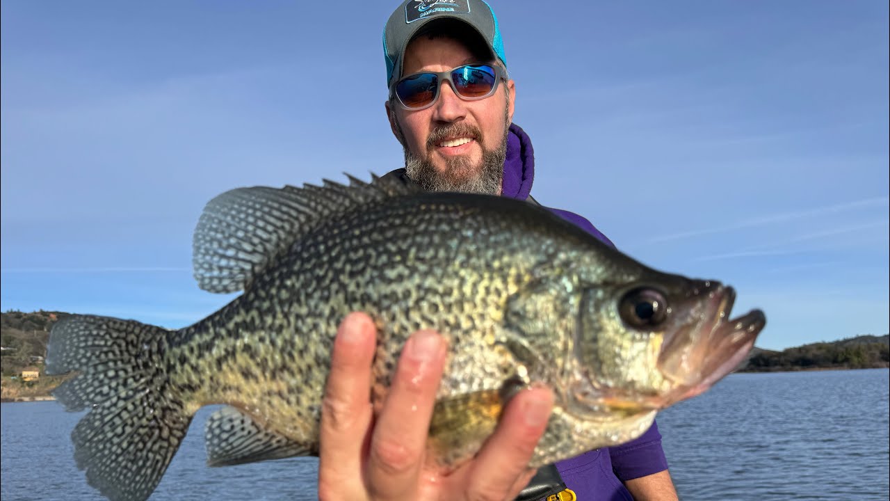 3 Pound Crappie Are In Clear Lake California Youtube