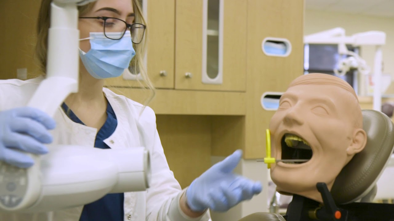 Pre Dental Assisting Program At Newtech Skill Center Youtube