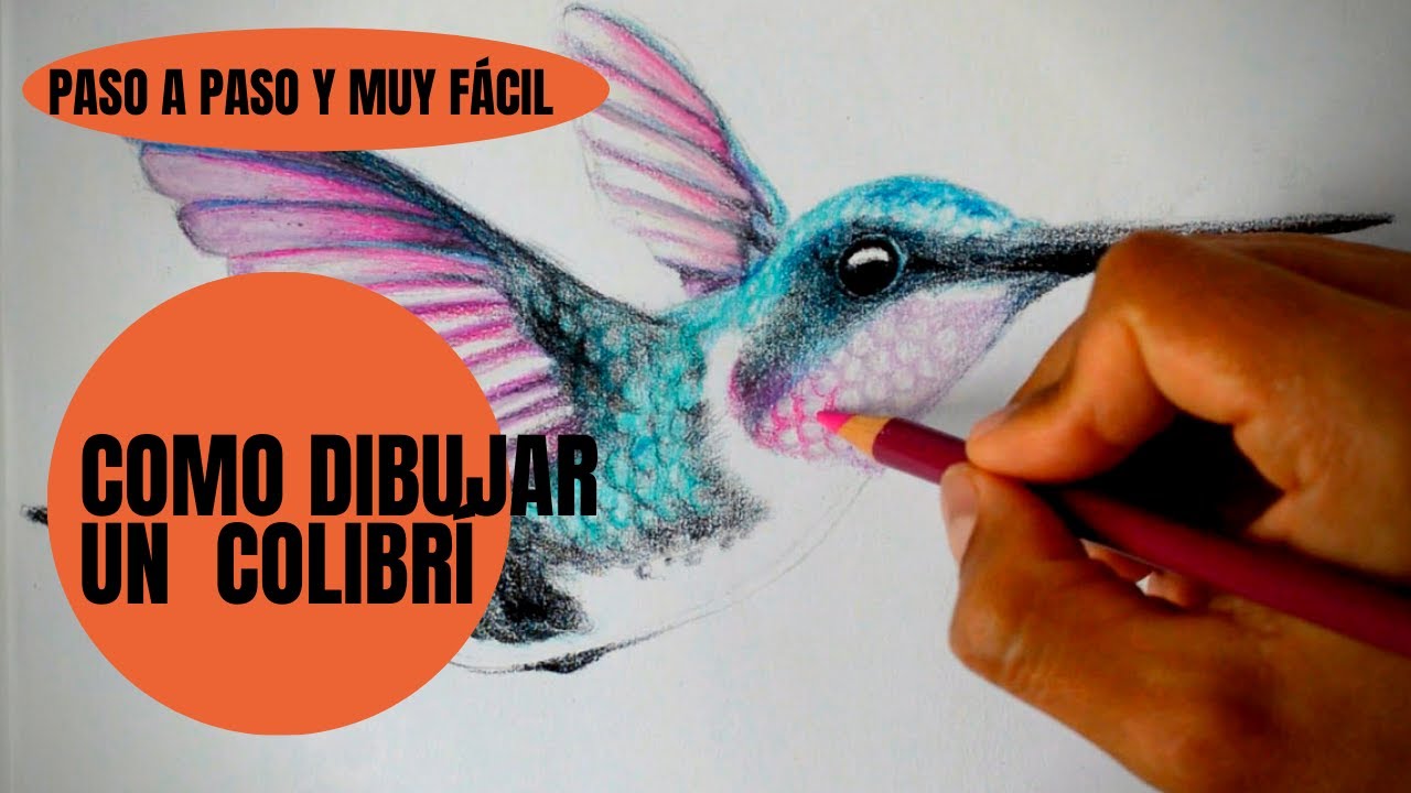 Como Dibujar Un Colibrí Realista Muy Fácil Paso A Paso Youtube