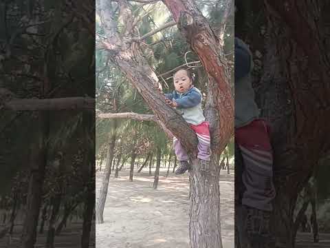 Picnik Youtube