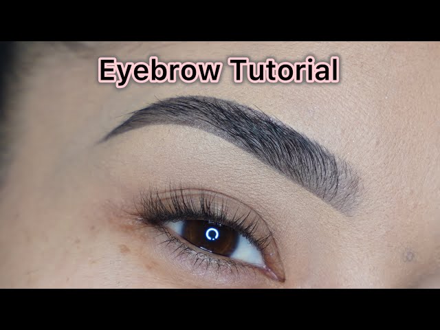Eyebrow Makeup Tutorial Beginner S Guide To Eyebrow Tutorial Easy