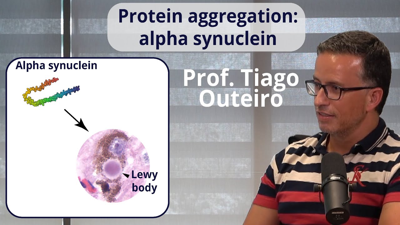 Protein Aggregation With The Focus On Alpha Synuclein Youtube