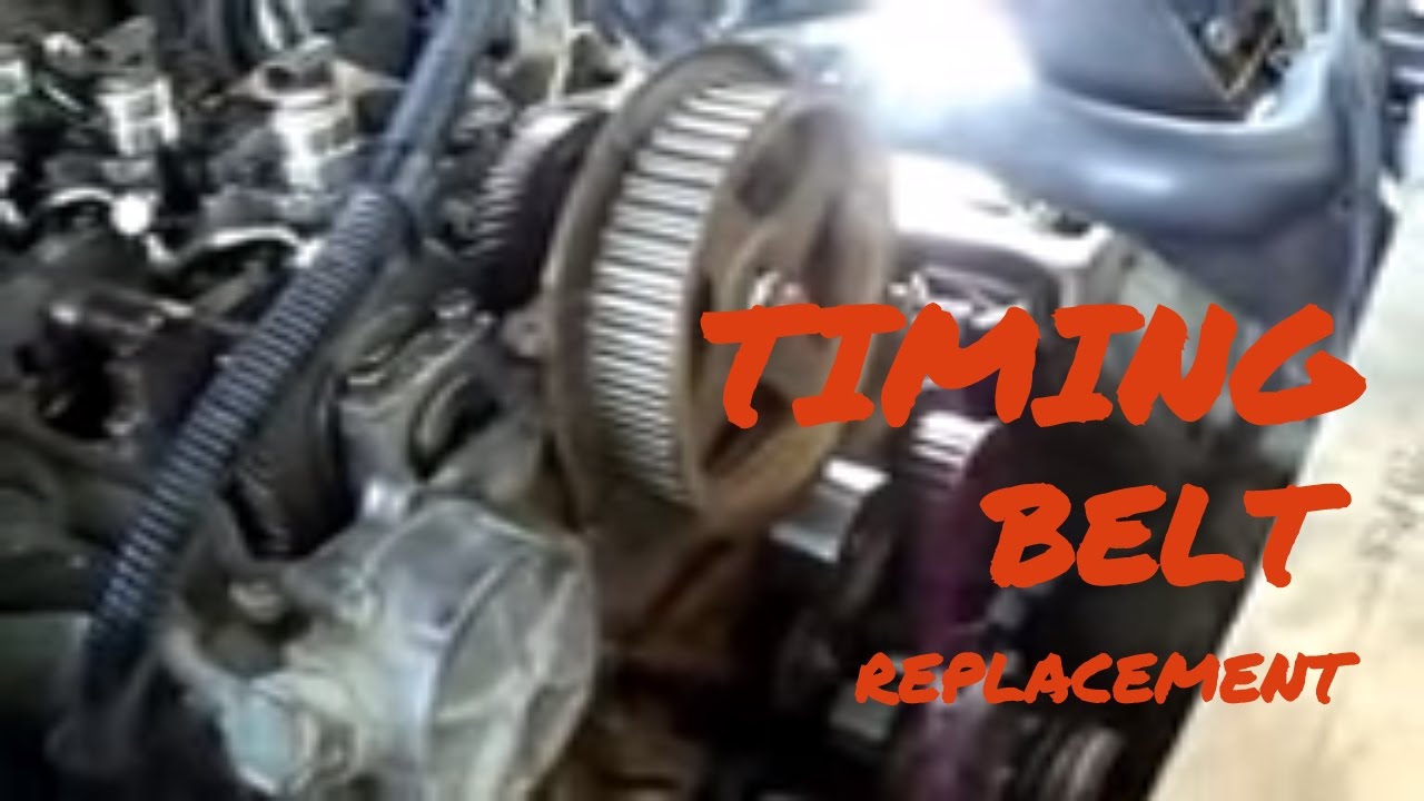 Timing Belt Pajero At Pearl Jenks Blog