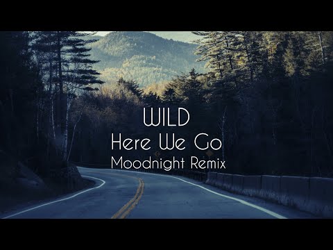Wild Here We Go Moodnight Remix By Moodnight