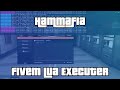 Fivem Lua Executor Hammafia Instructions 2021 Avoid Hammafia Mp3 Music ...