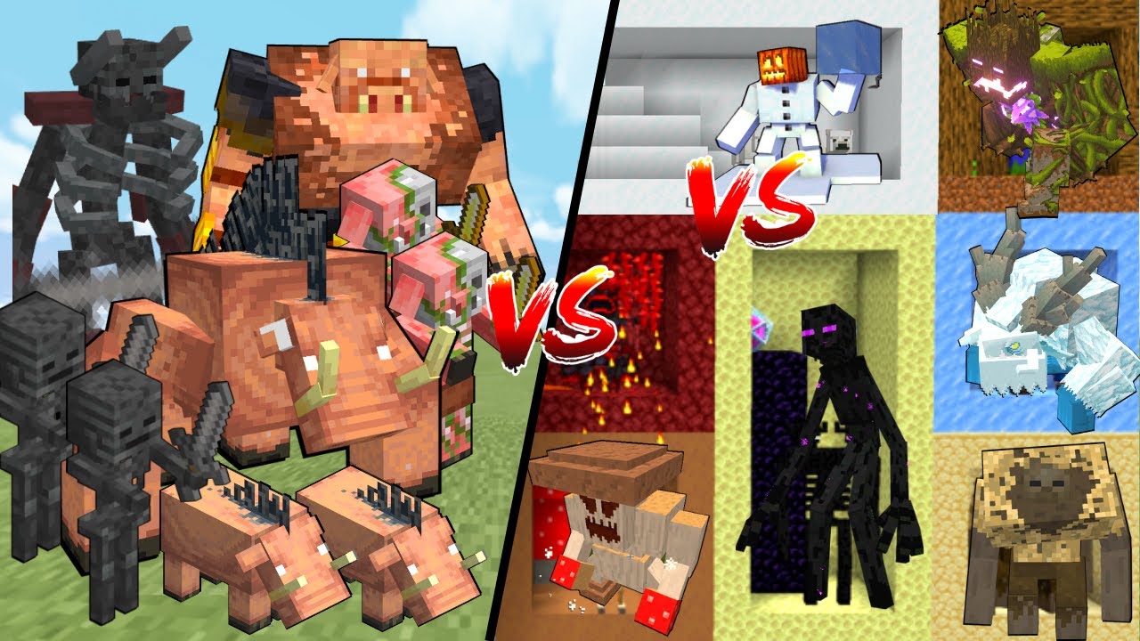 Nether Vs All Biomes In Minecraft Mob Battle Youtube