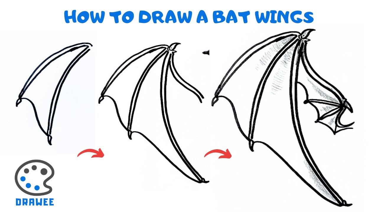 How To Draw Bat Wings