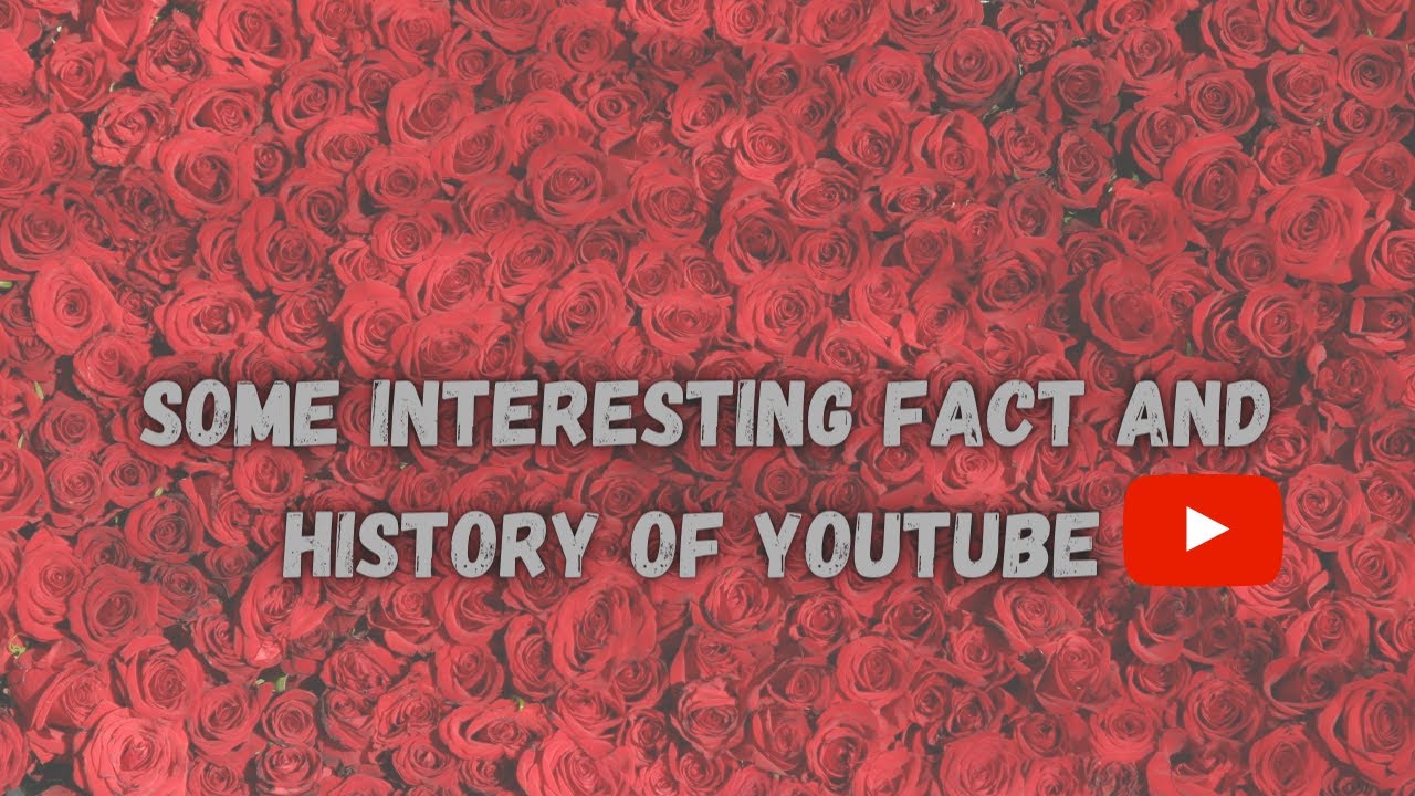 Some Interesting Facts About Youtube And Its History Youtube