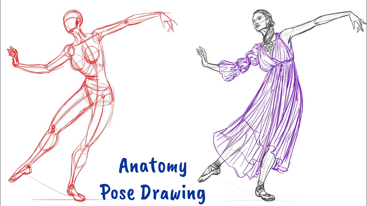 Human Poses Drawing Reference