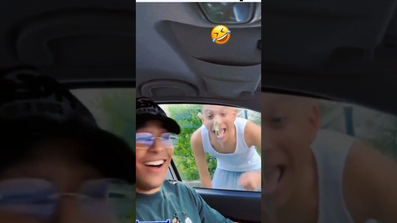 Nooooo ёядвёядоёяшв Funny Memes Comedia Fail Pets Foryou Humor