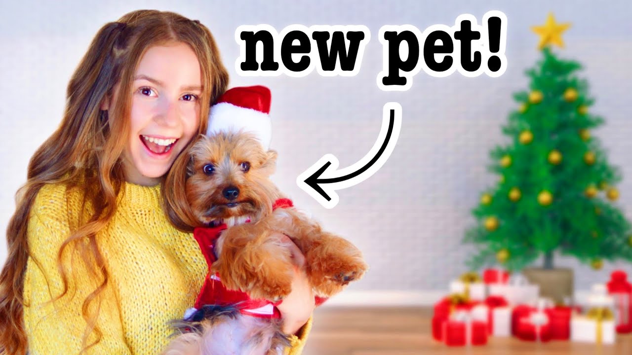 I Got A New Pet Emotional Housepetscare
