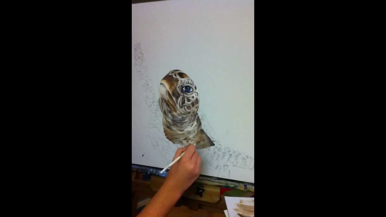Turtle Oil Painting Time Lapse Youtube