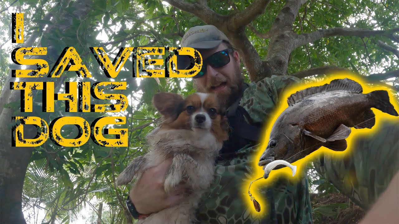 Saving A Dog While Fishing In A Remote Location Youtube