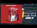 Free Nandipha808 Ceeka Rsa Barcadi Quantum Sound Sample Pack 2024 Stena ...