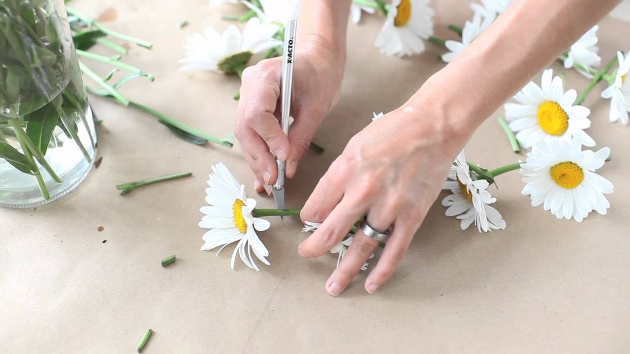 How To Daisy Chain Youtube