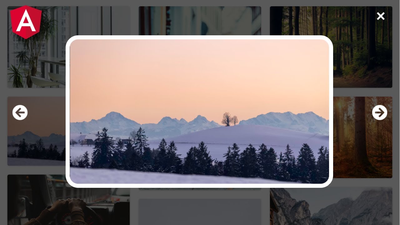 Create An Image Gallery With Lightbox From Scratch In Angular Youtube