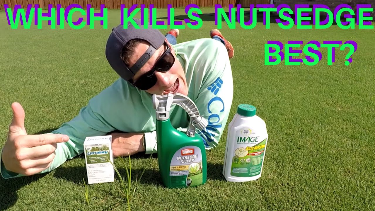 Best Weed Killer For Nutsedge At Patricia Bouchard Blog