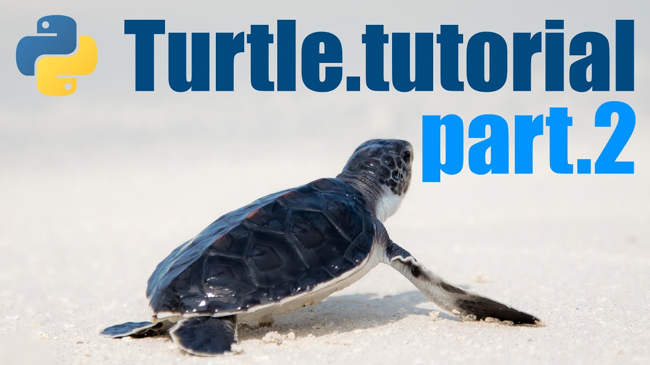Python Turtle Tutorial Lesson 2 Colours And Styles Youtube