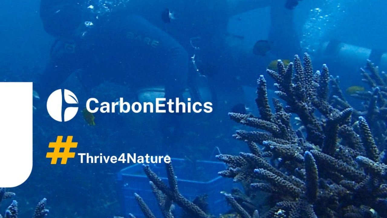 Carbonethics 4th Anniversary Youtube