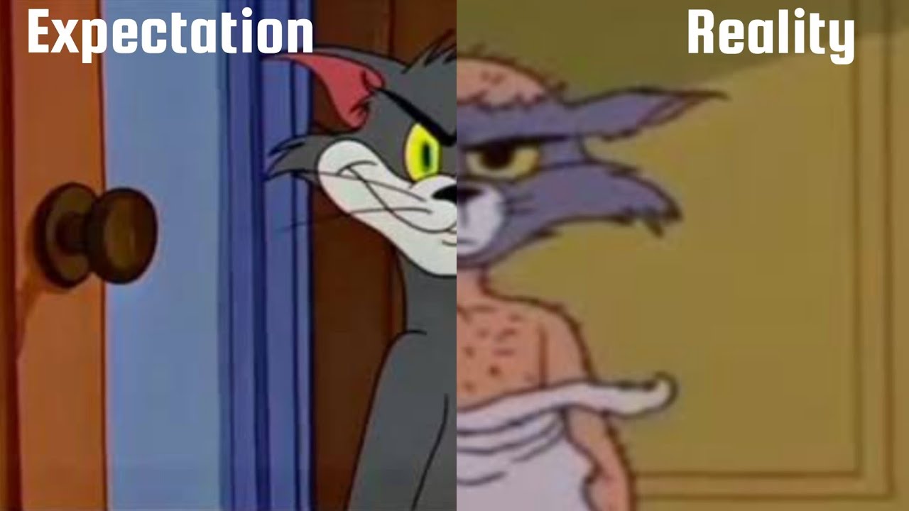During Holidays Expectation Vs Reality Meme Youtube