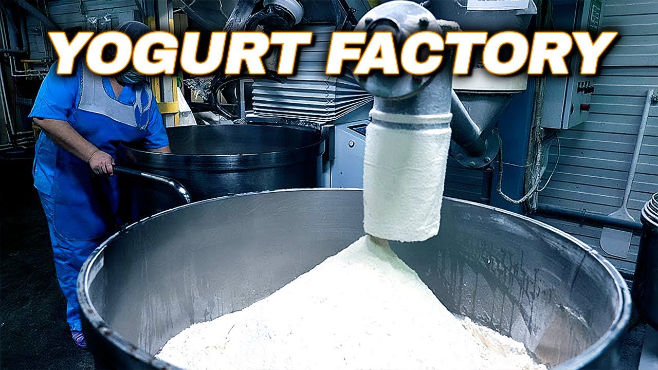 Yogurt Factory In Johannesburg At David Frakes Blog
