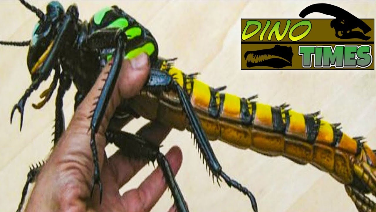 Giant Insects Prehistoric