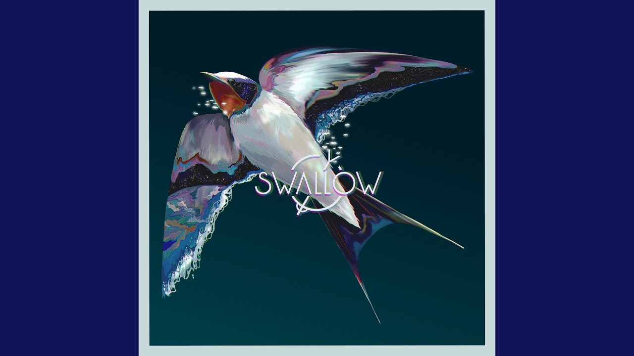 Swallow Youtube