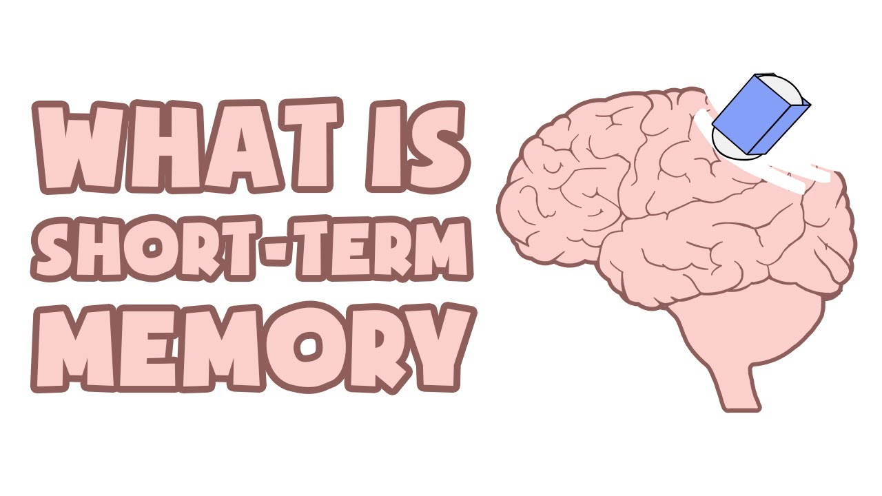 What Is Short Term Memory Explained In 2 Min Youtube