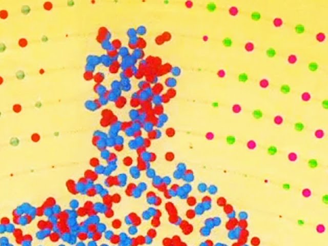 Why Do We Feel Nostalgia