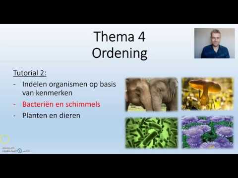 Ordening Biologie 2 Van 3 Biodam Youtube