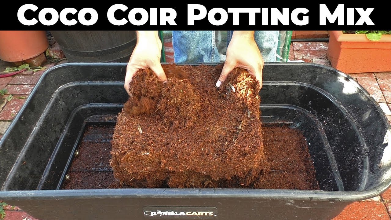 Coconut Coir Potting Mix Recipe Coco Coir Compost Perlite Or