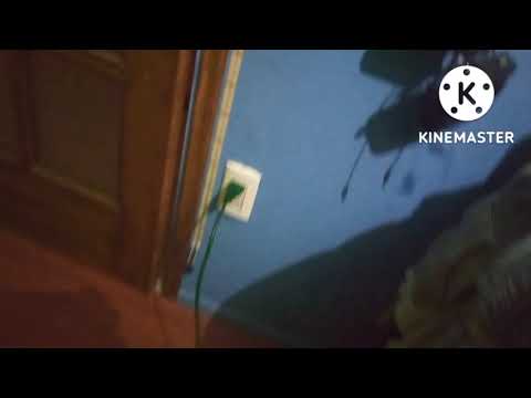 Backrooms Found Footage 2 Youtube