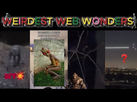 Weirdest Web Wonders Vol 39 Youtube