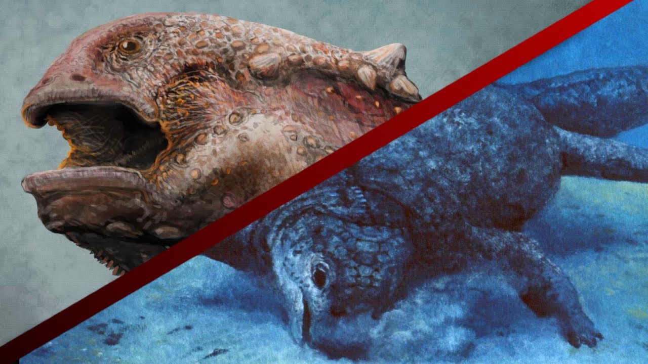 Placodonts Triassic Tooth Crushers Youtube