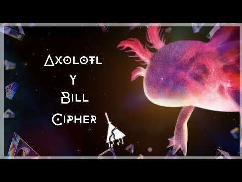 Axolotl Y Bill Cipher Animación Youtube